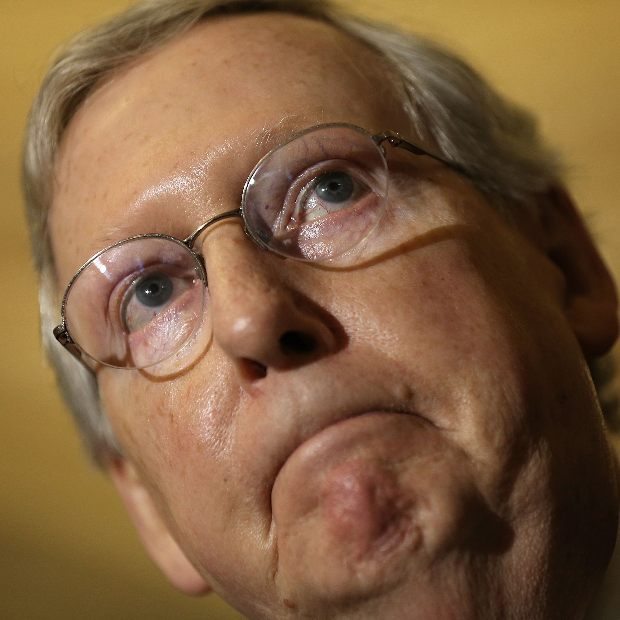 Cecil Tortuga Mitch Mcconnell