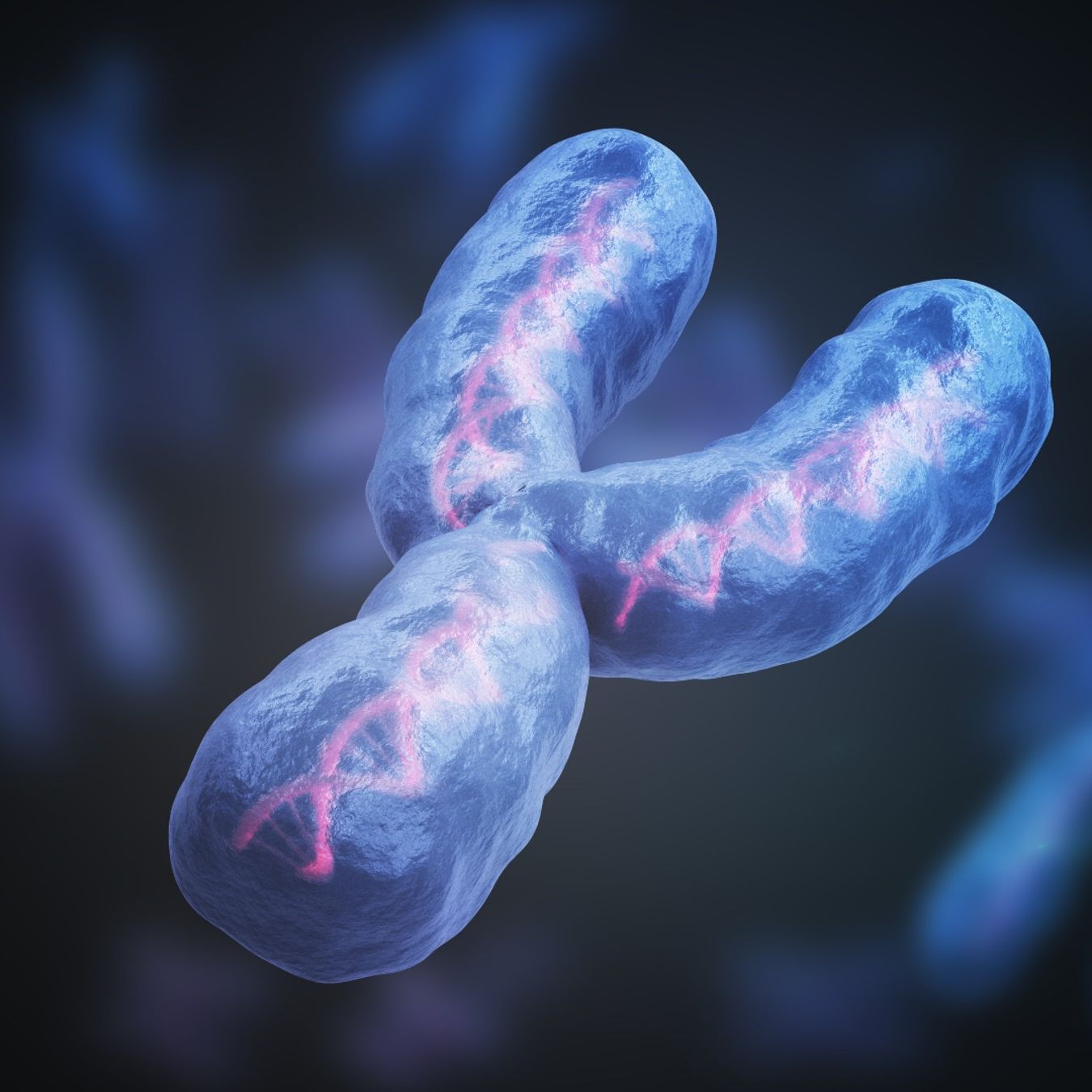 Y Chromosome Male Gene