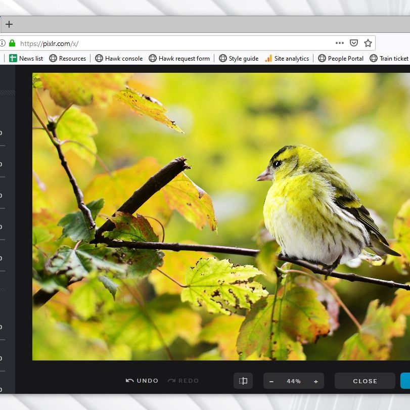 Pixlr X Pixlr Photo Editor Tutorial Learn This Free Online Image