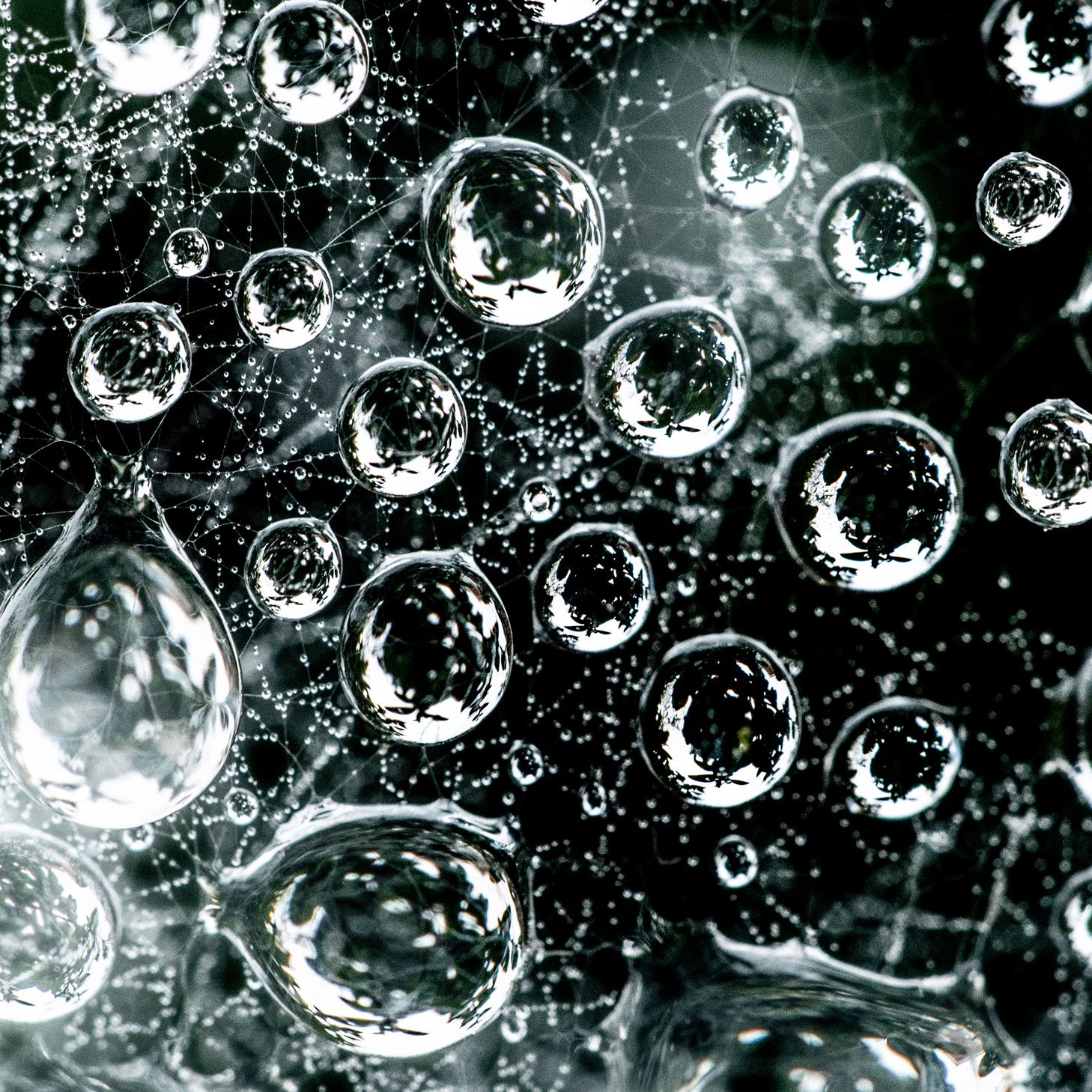 Macro Abstract Photography IRIS Photography Croatia Split Photo