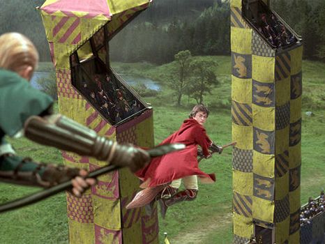 Quidditch Seeker Real Life