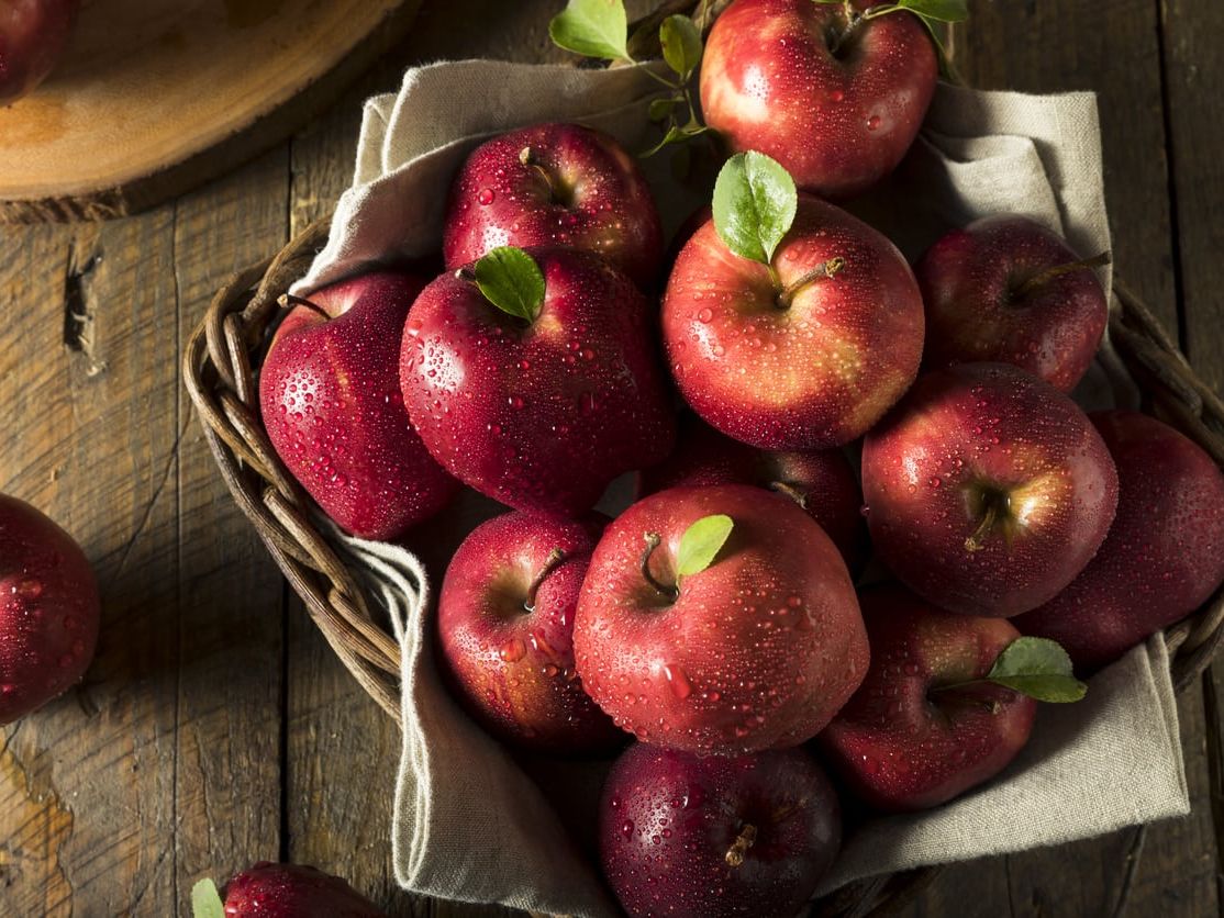 Red Delicious Apple Tree