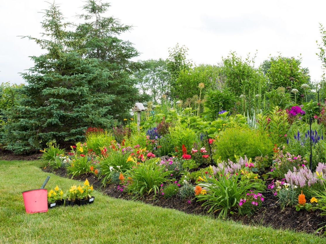 Garden Berm Ideas Discover 140 Berm Landscaping And Garden Landscaping