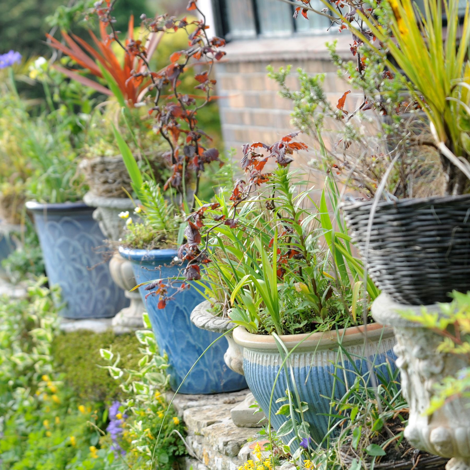 Container Gardening Designs Grouping Winter Container Ideas A Garden