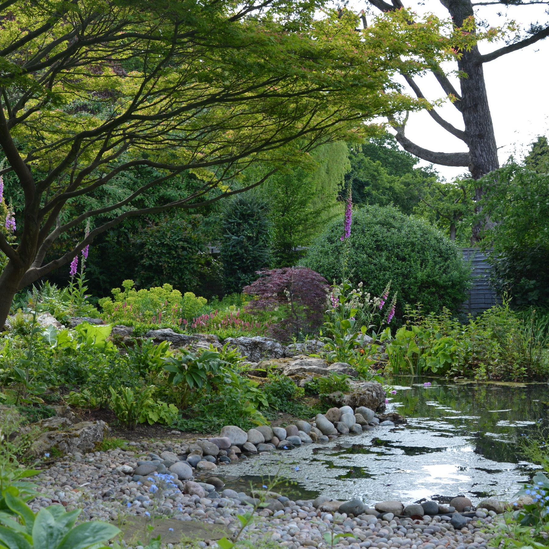 Woodland Landscaping Ideas Park