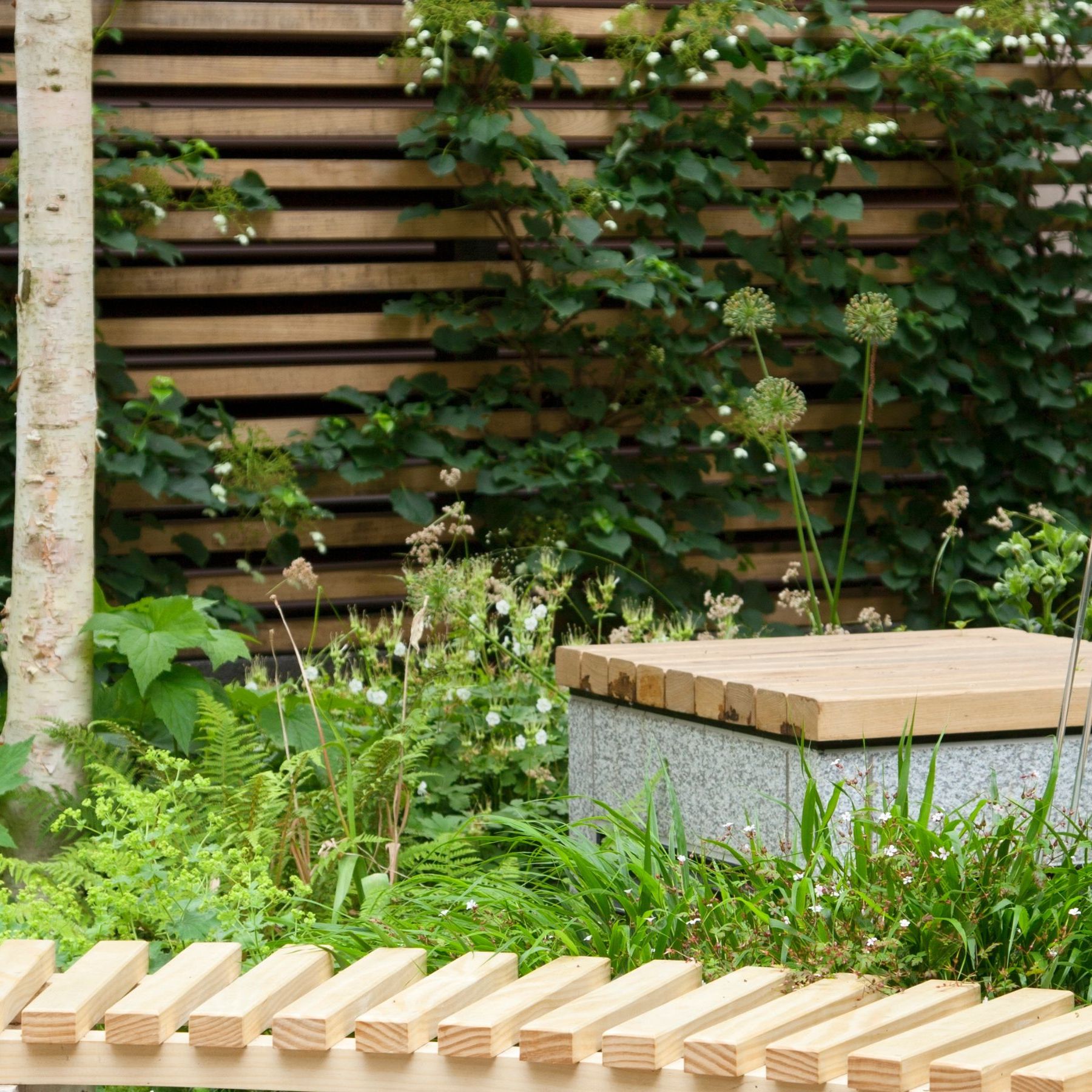 Garden Privacy Screen Ideas