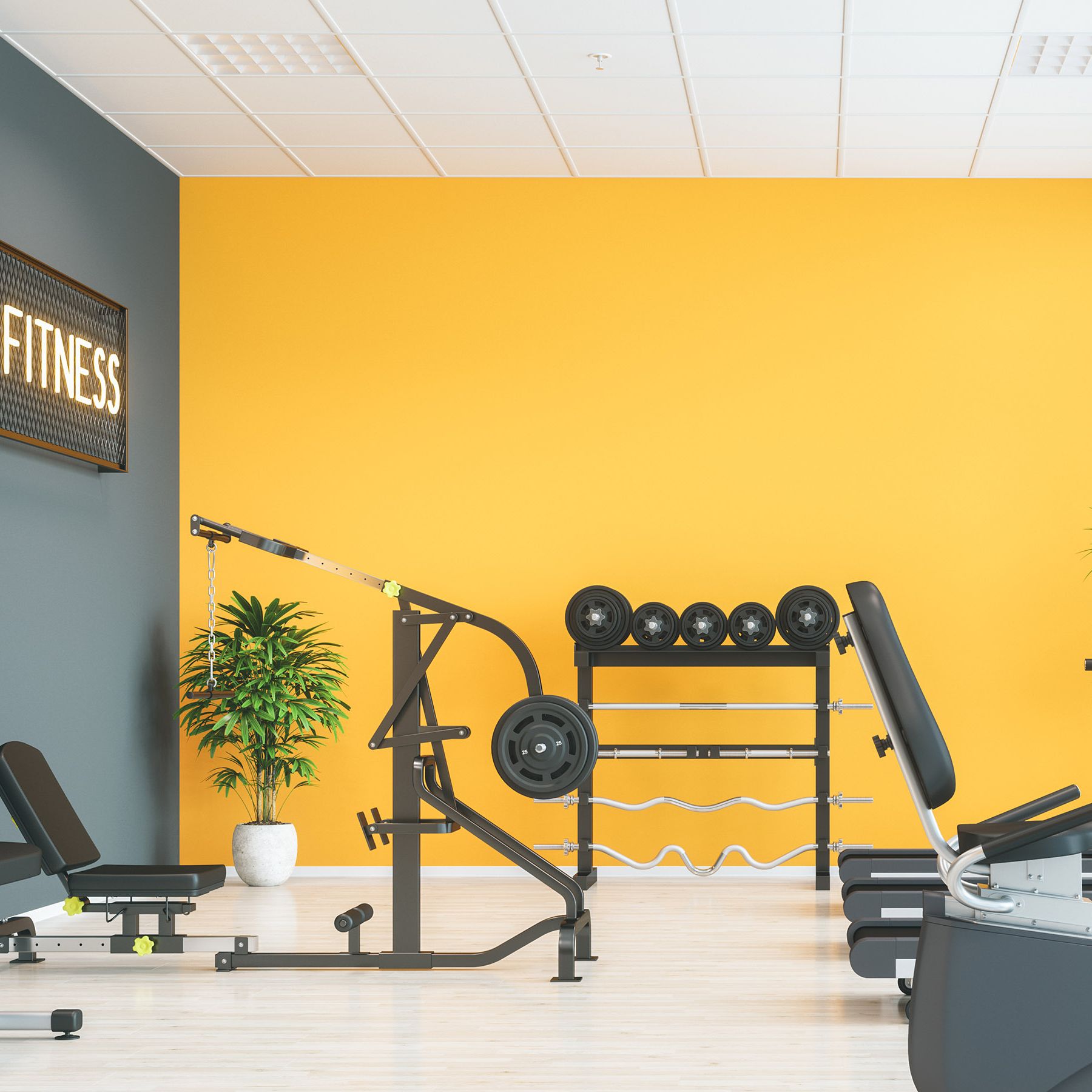 Paint Color For Gym Room Home Gym Design Best Paint Colors