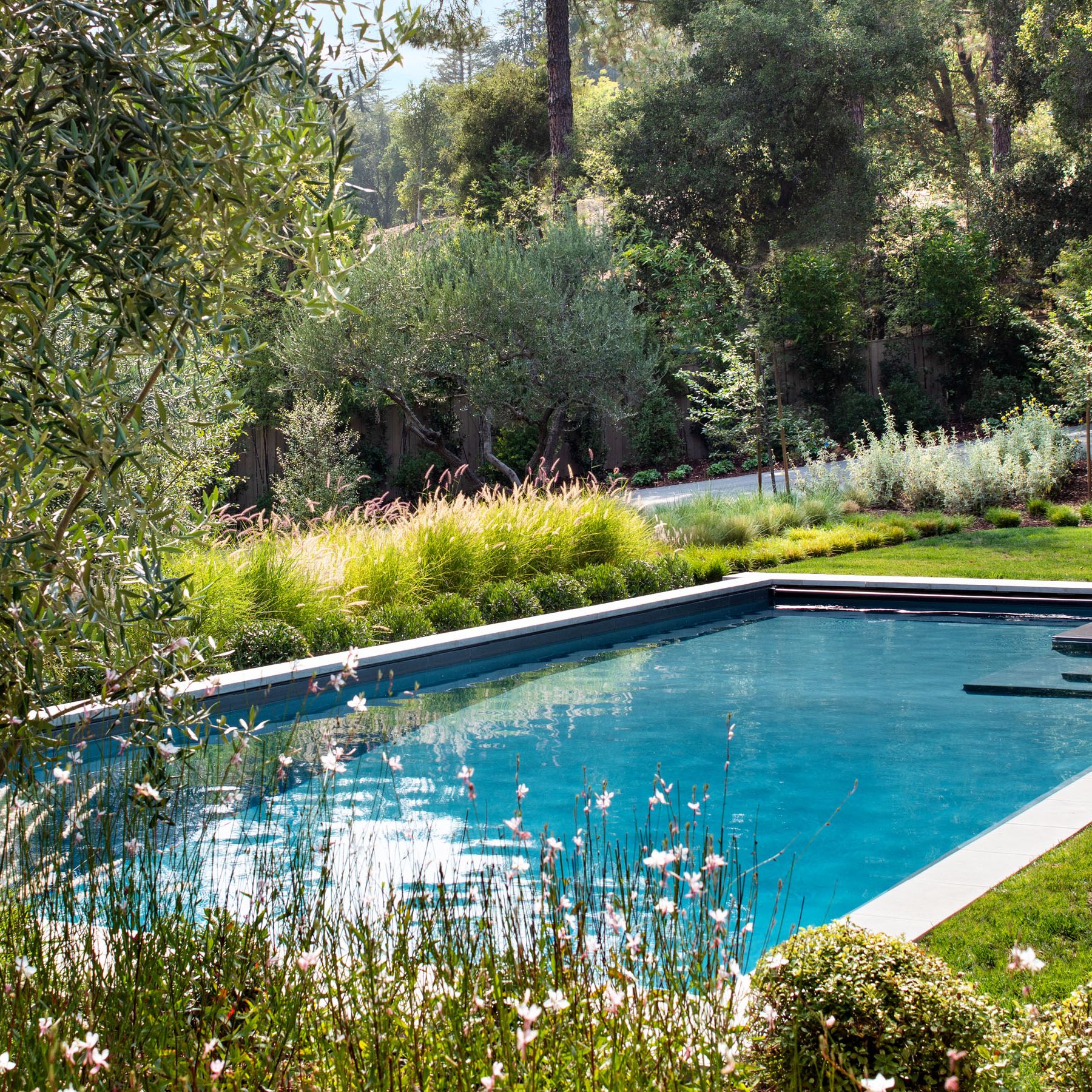 Pool Privacy Landscaping Ideas