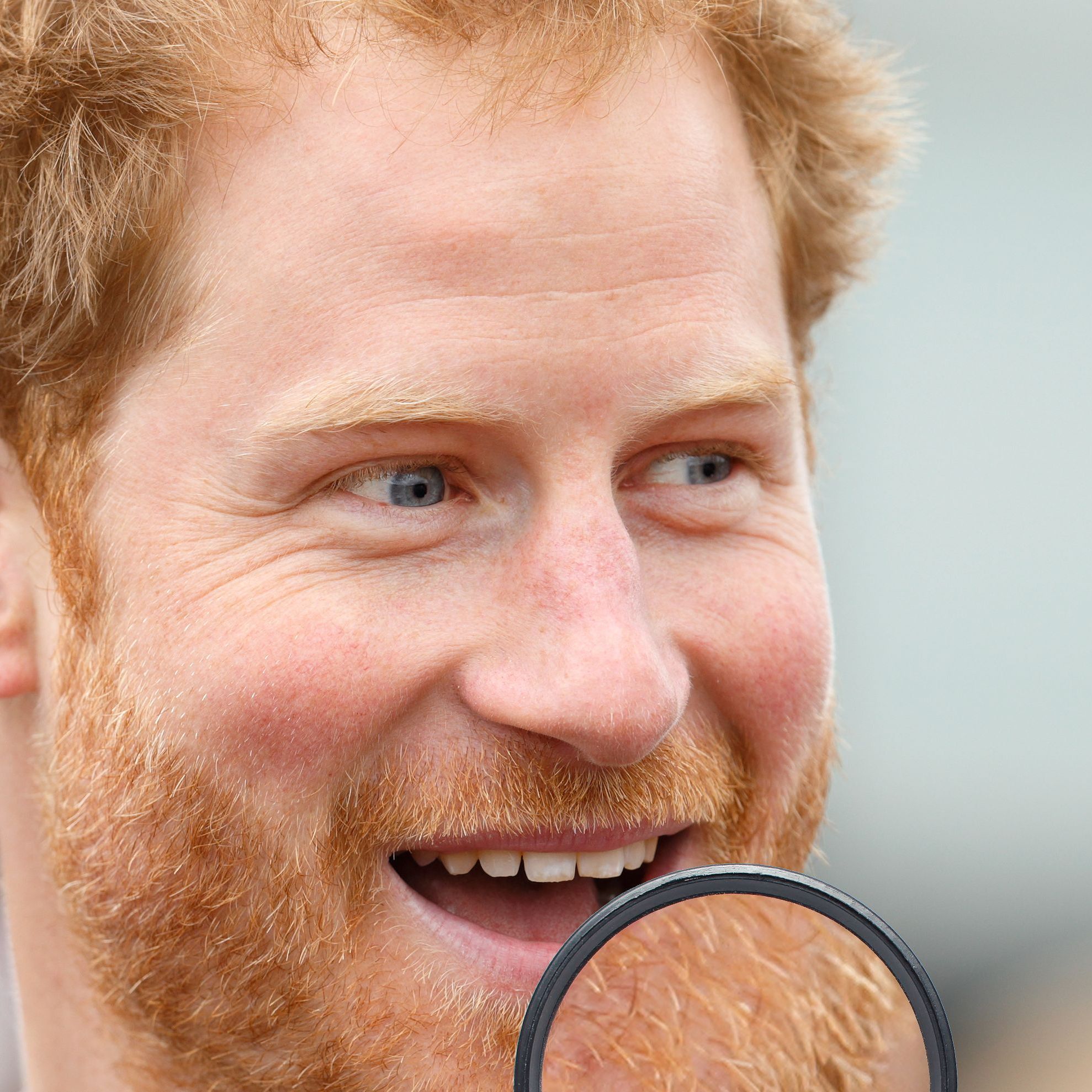 Prince Charles Beard Harry