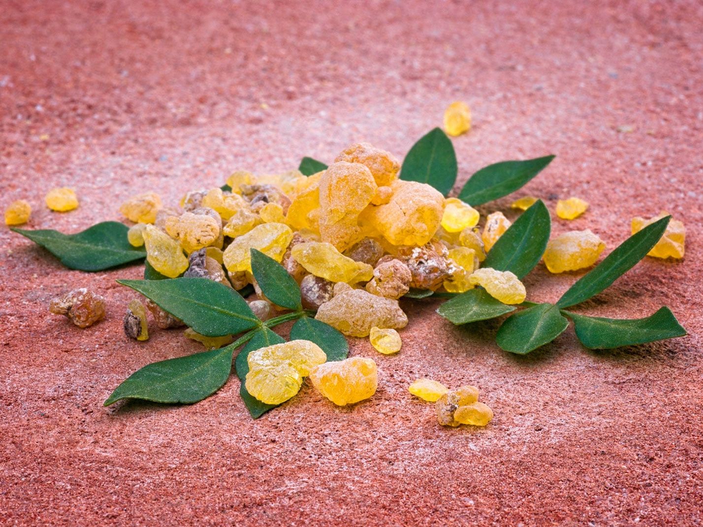 Frankincense Flower Gold, Frankincense & Myrrh Festive Bouquet