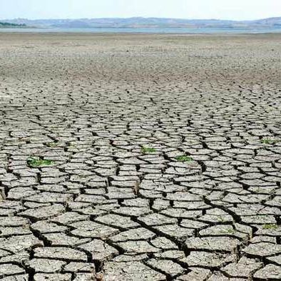 Effects Of Drought On People