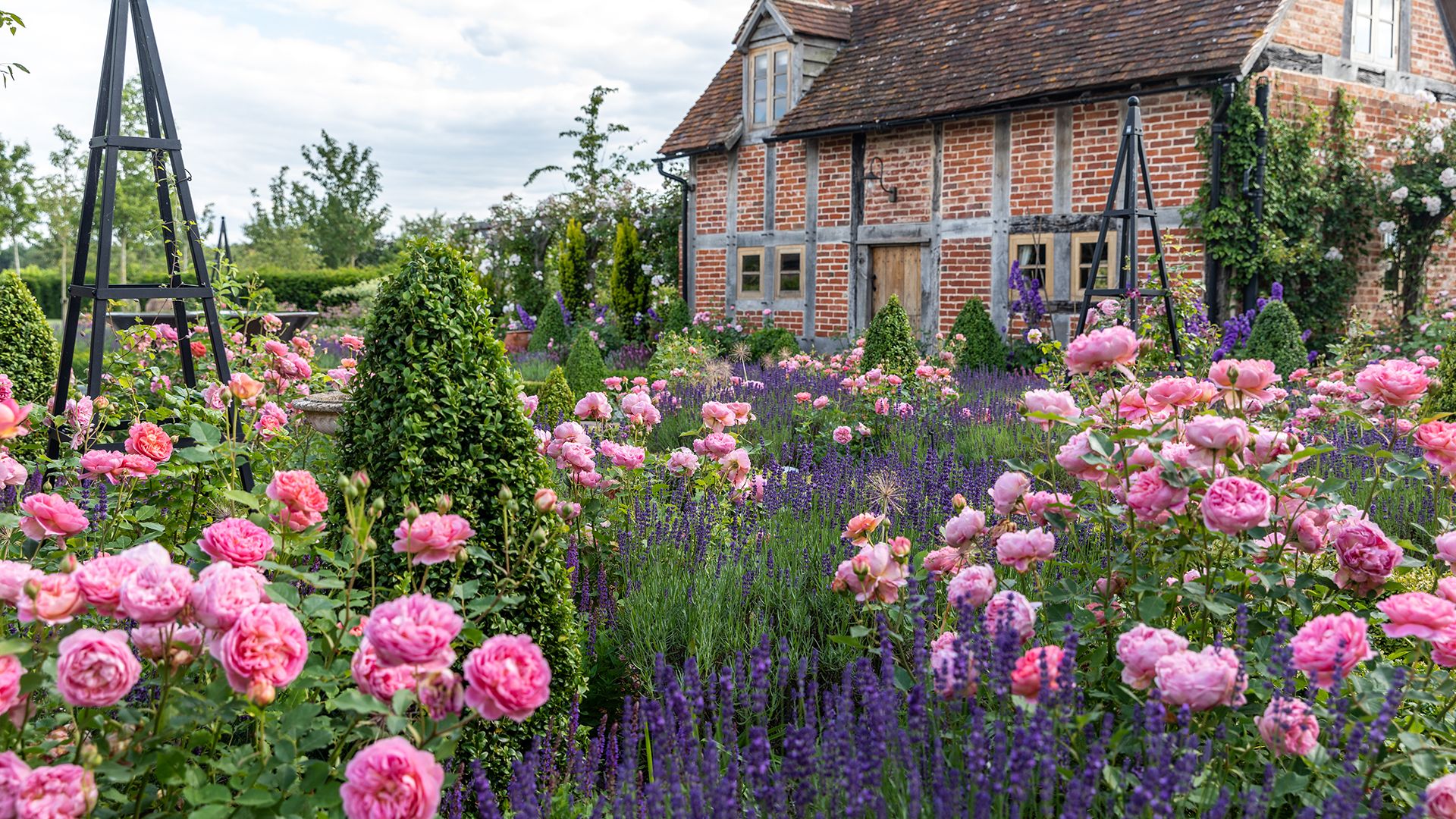 English Rose Garden Desktop English Rose Garden, Elegant Floral
