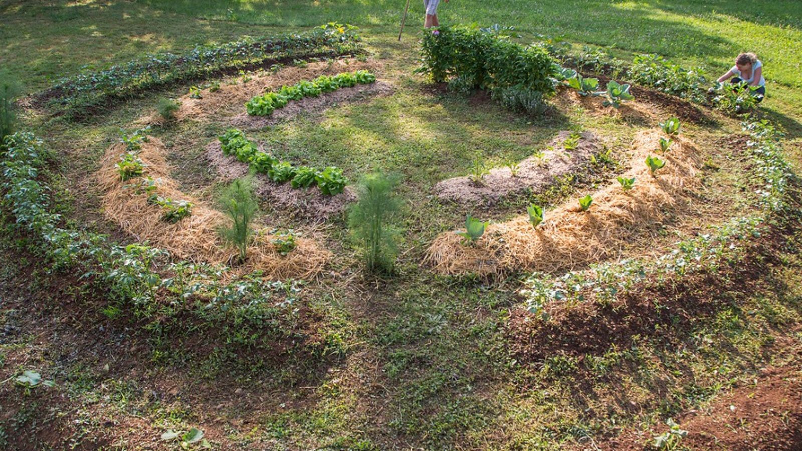 Keyhole Of A Permaculture Plan