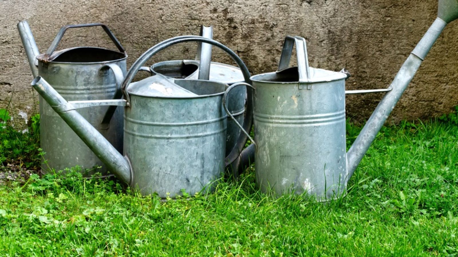 Watering Can Garden