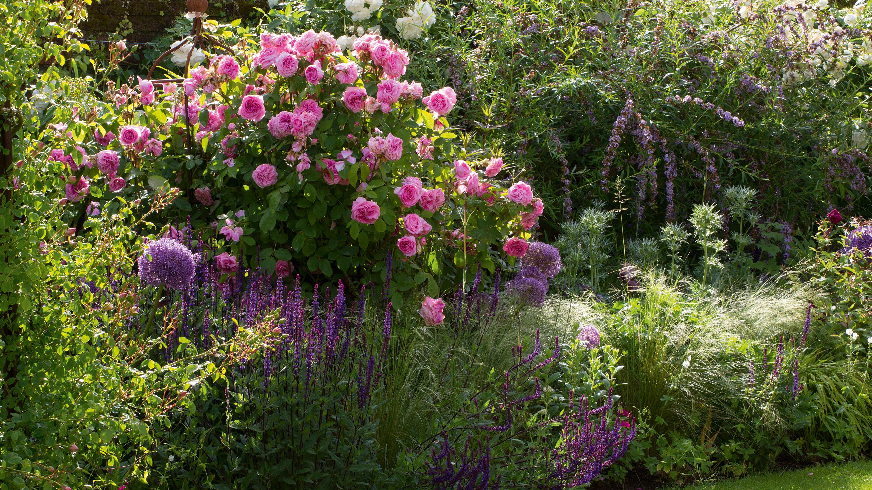 Rose Garden Design