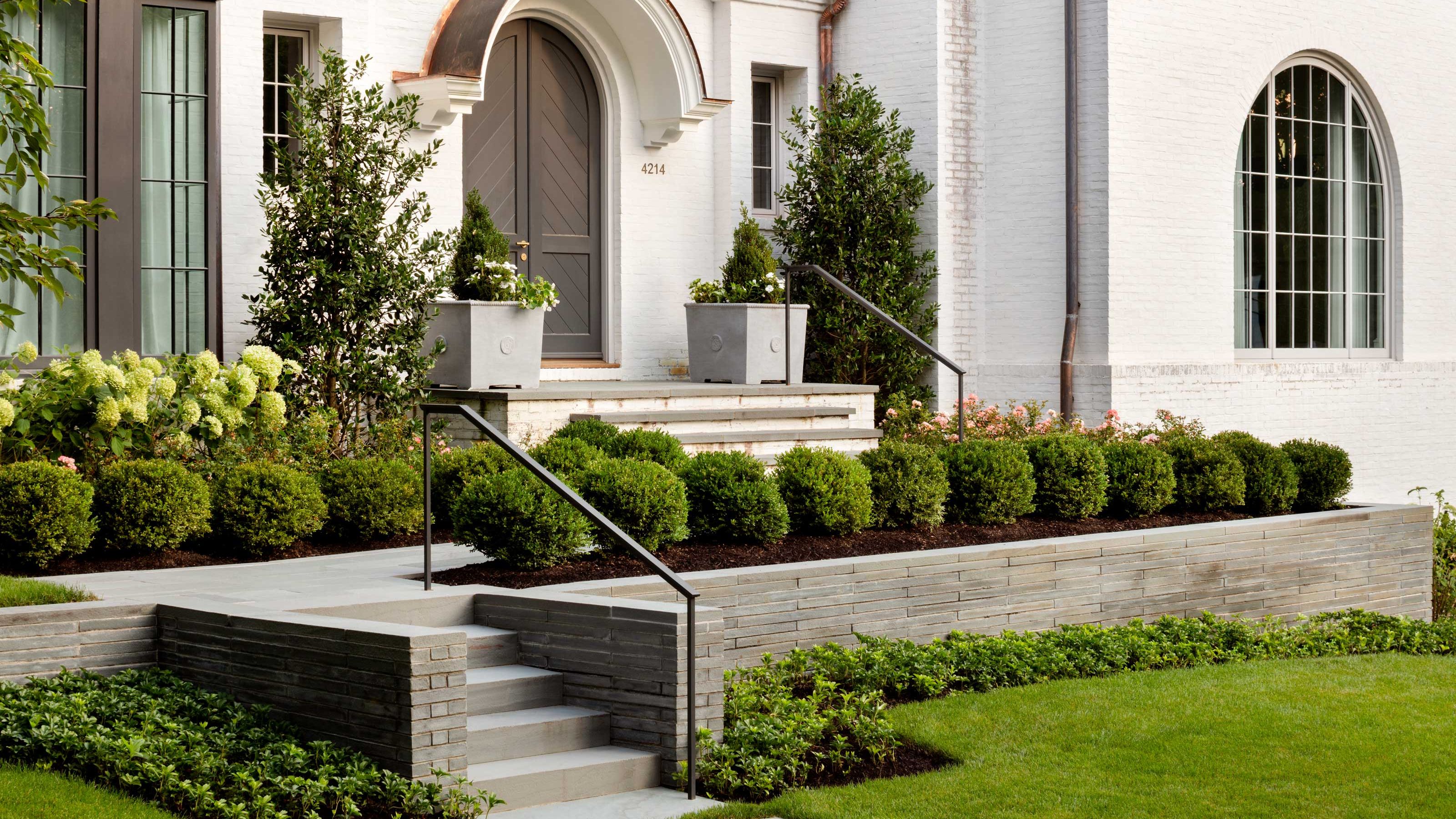 Best Front Yard Tree