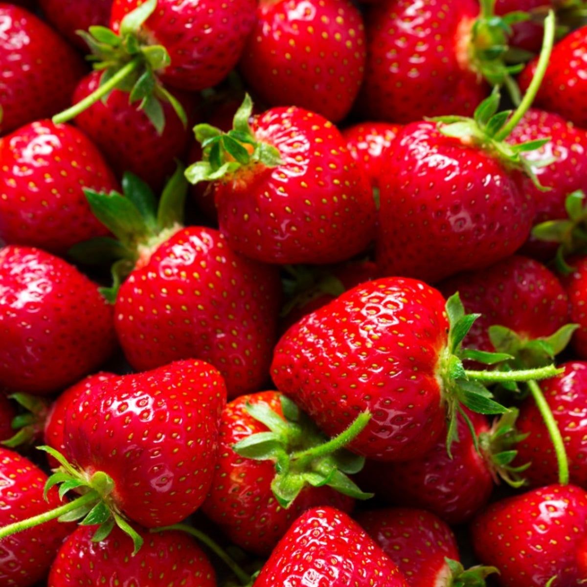 Types Of Strawberry Plants Fragaria × Ananassa 'Berried Treasure Red'