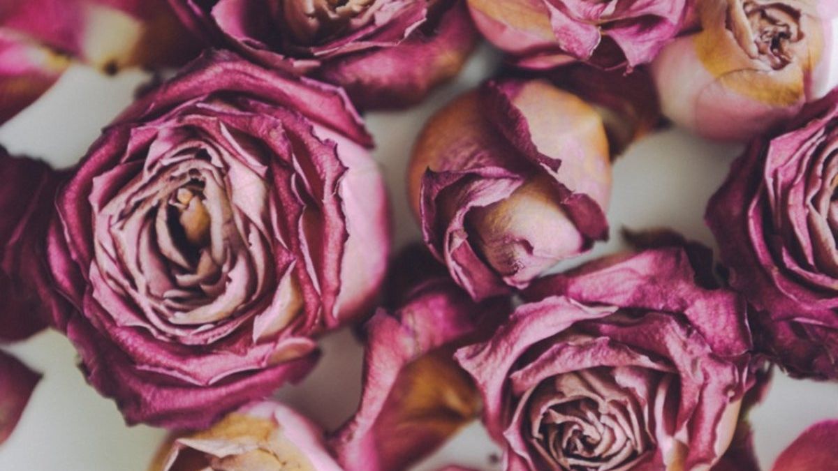 When To Dry Flowers Roses