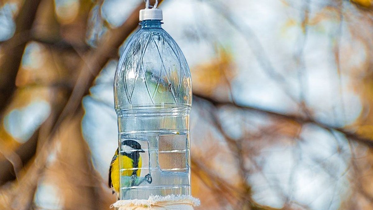 Soda Bottle Bird Feeder Directions