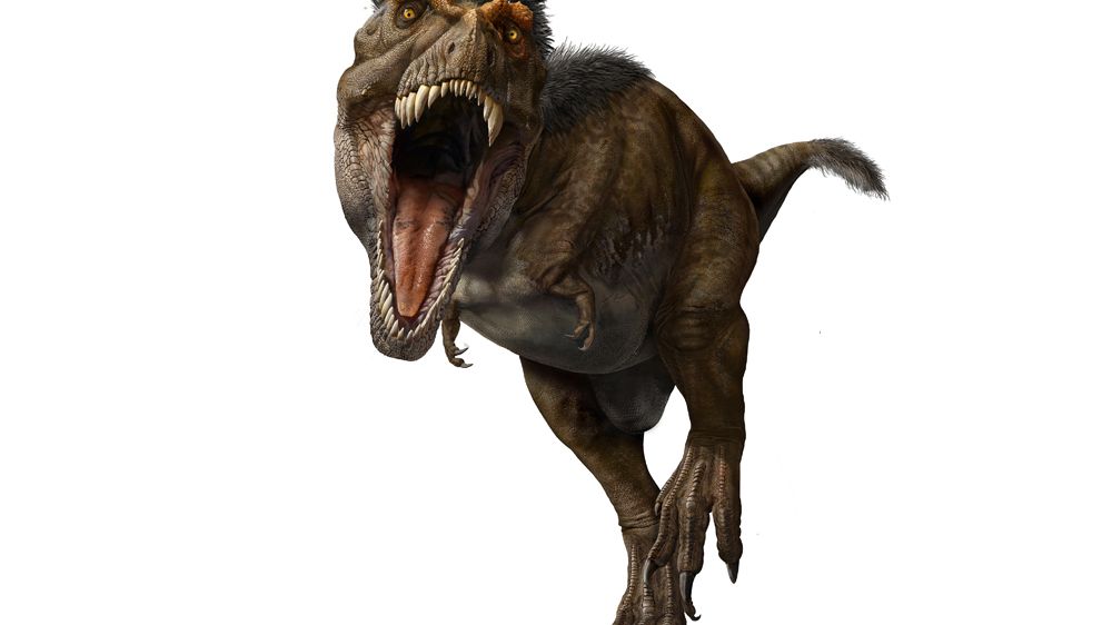 Dinosaurbilder T Rex