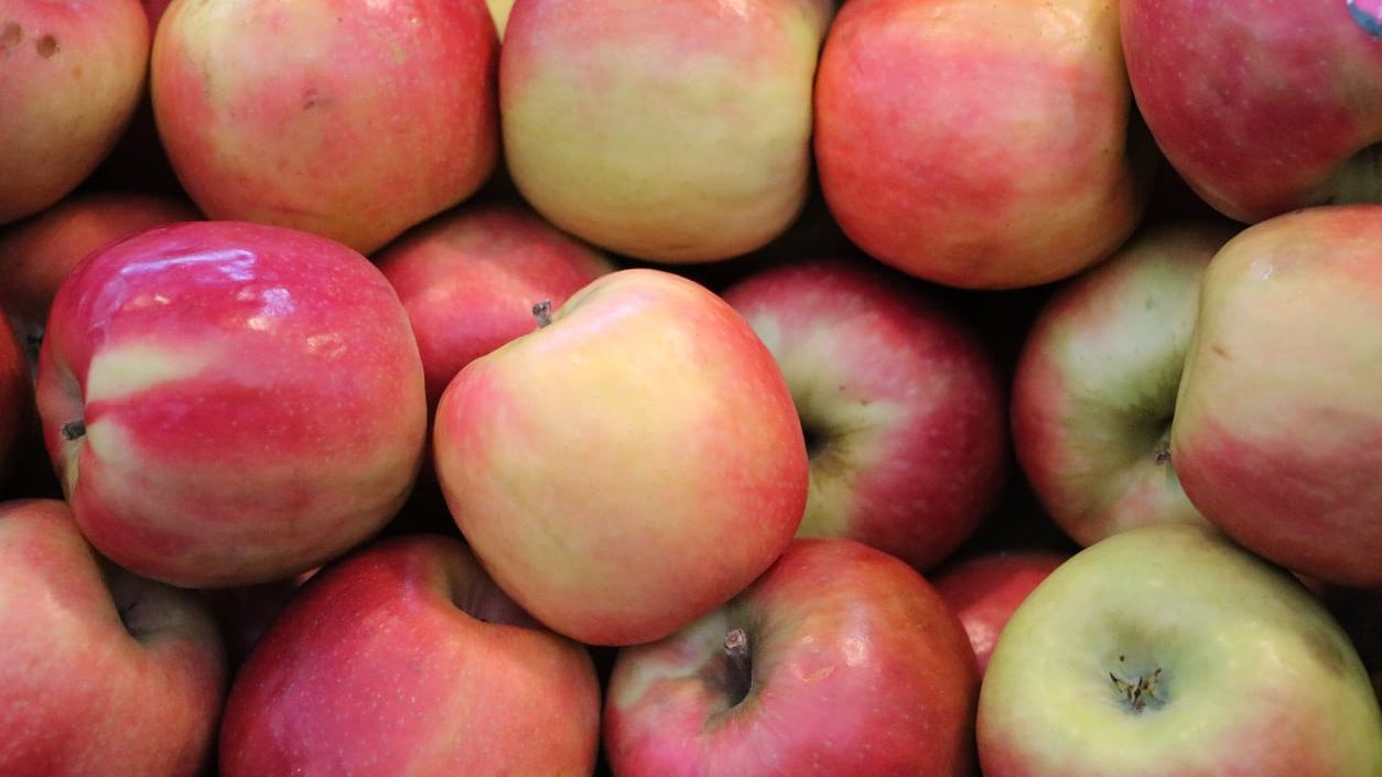 Pink Lady Apples Logo
