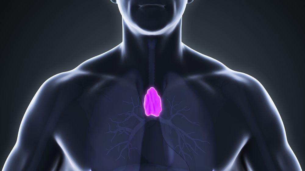 Thymus Gland Function