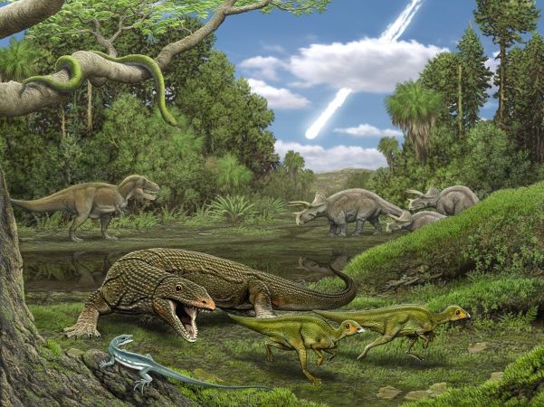 Mesazoic Climate Mesozoic Era : The Age Of Dinosaurs | Mesozo Blog