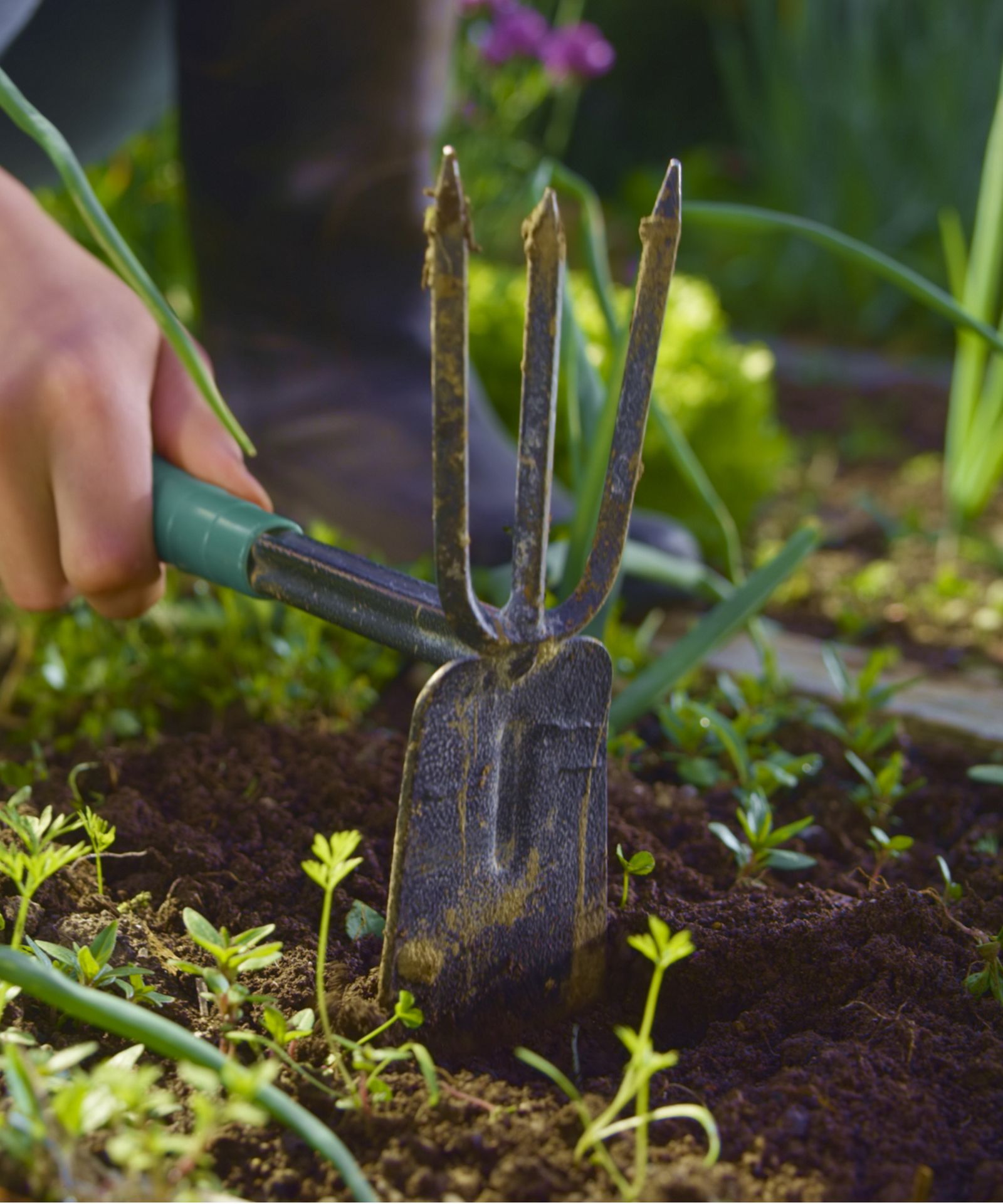Weeder types explained – pros explore all 10 types of tool | Homes and ...