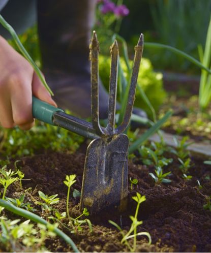 Weeder types explained – pros explore all 10 types of tool | Homes and ...