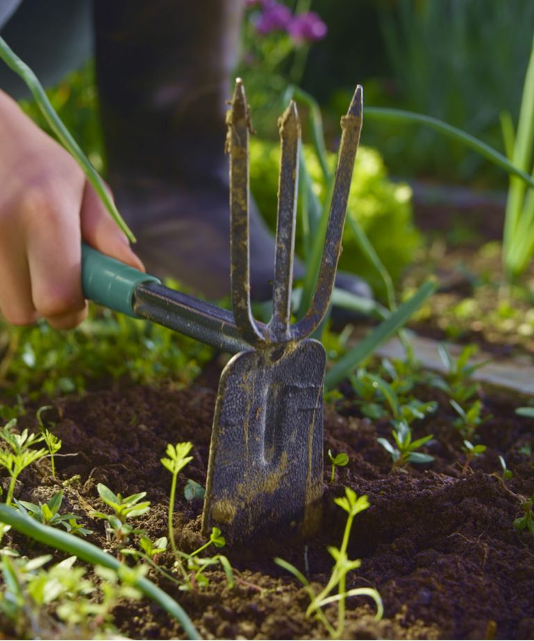 Weeder types explained – pros explore all 10 types of tool | Homes and ...