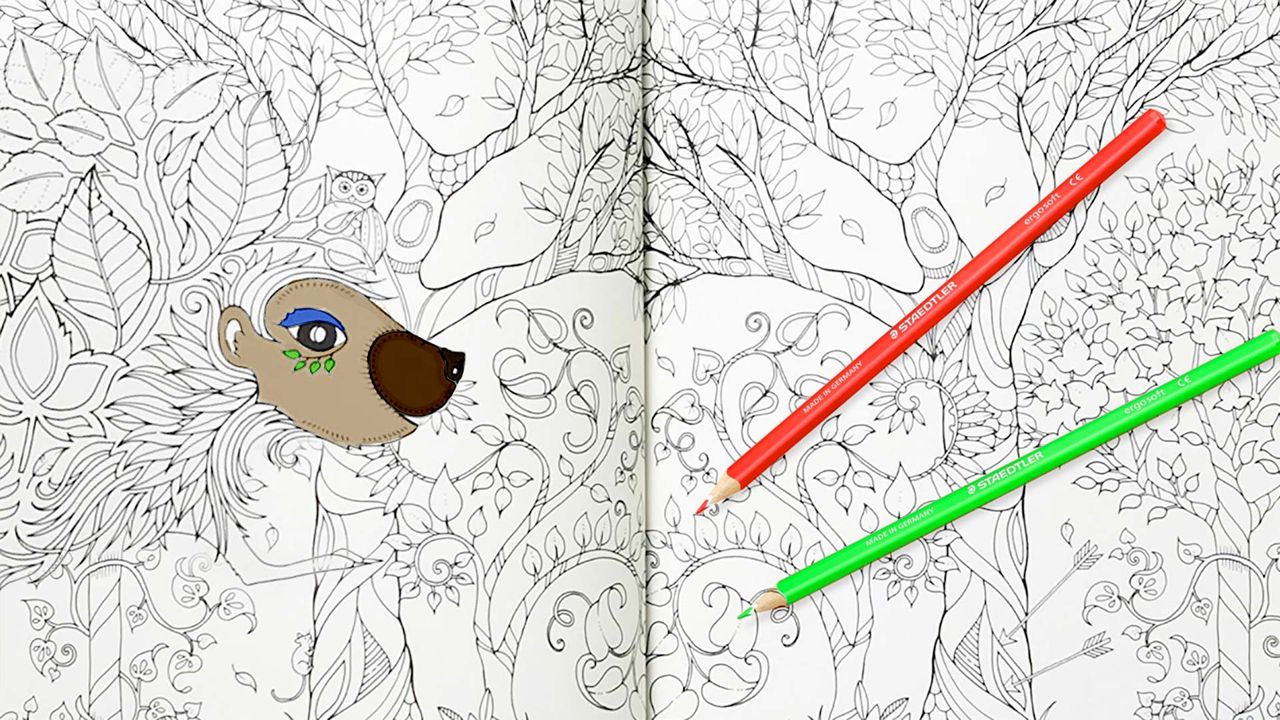The best adult colouring books to while away the hours | Shortlist