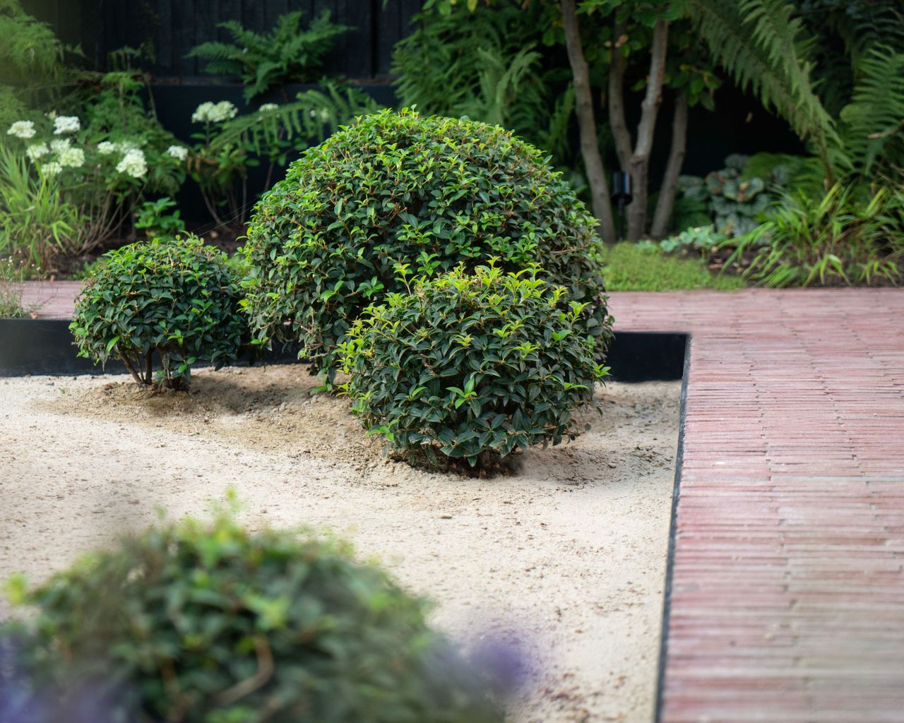 Landscaping with evergreens: 9 ways to use in garden design | Homes and ...