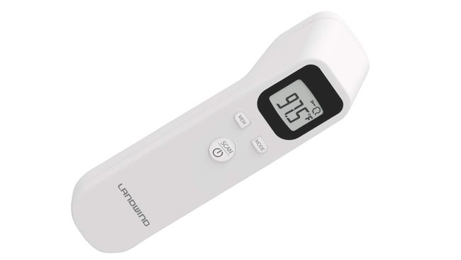 How and where to buy a thermometer: the essential features to look for ...