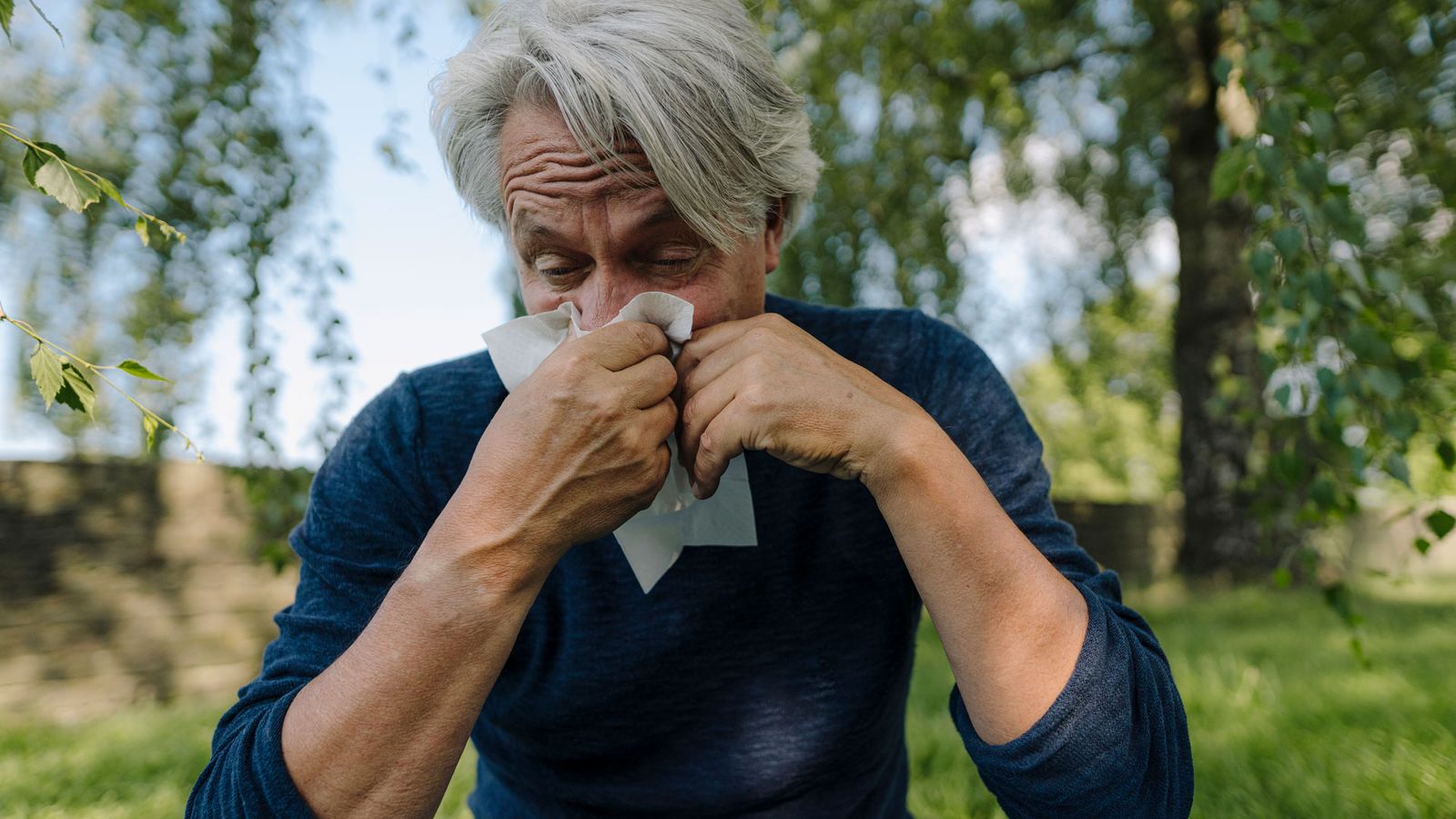 'Nose-in-a-dish' reveals why the common cold hits some people harder ...