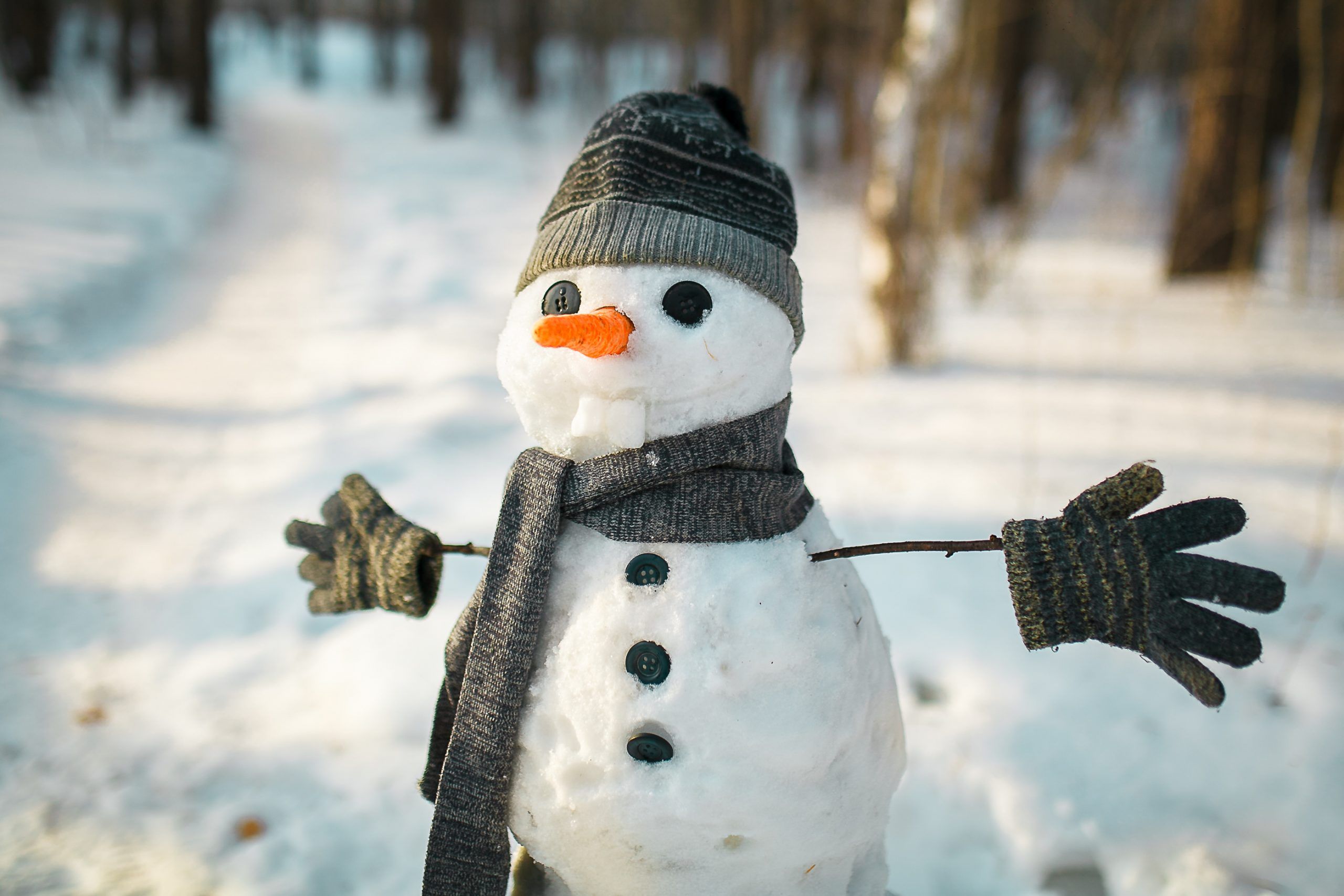 How to build the perfect snowman | Country Life