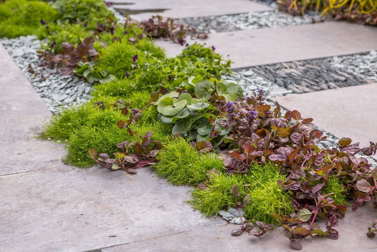 Landscaping ideas for front of house: 20 gorgeous looks | Gardeningetc