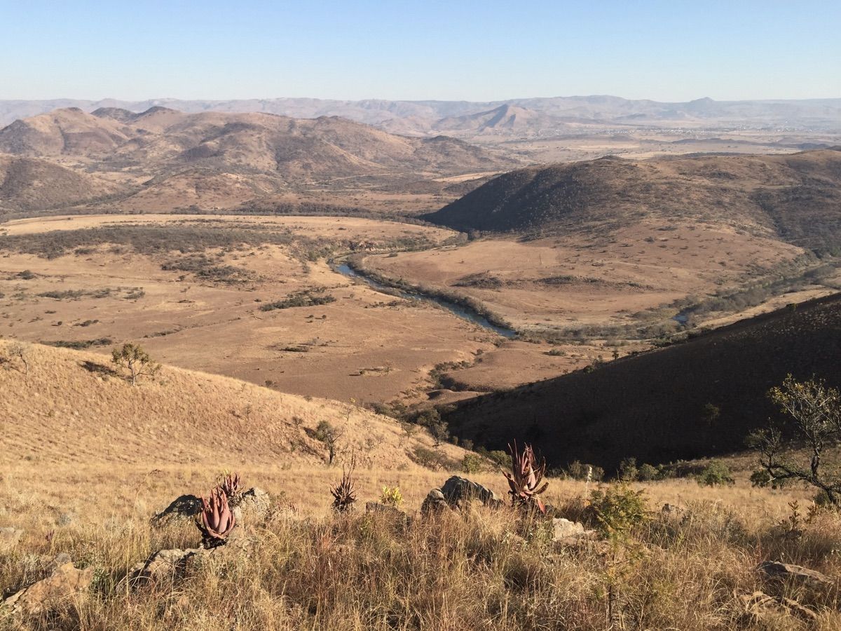 A Tiny Magma Blob May Rewrite Earth's History of Plate Tectonics | Live ...
