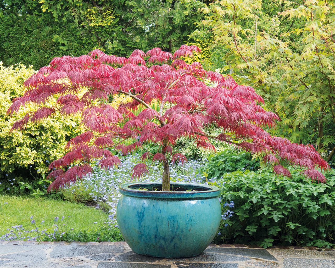 10 Small Patio Ideas That Will Make A Big Impact | Gardening Know How