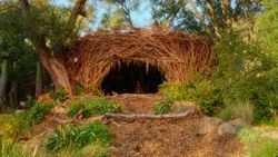 Shop Ruggable's 'Wicked'-Inspired Rug Collection | Homes and Gardens