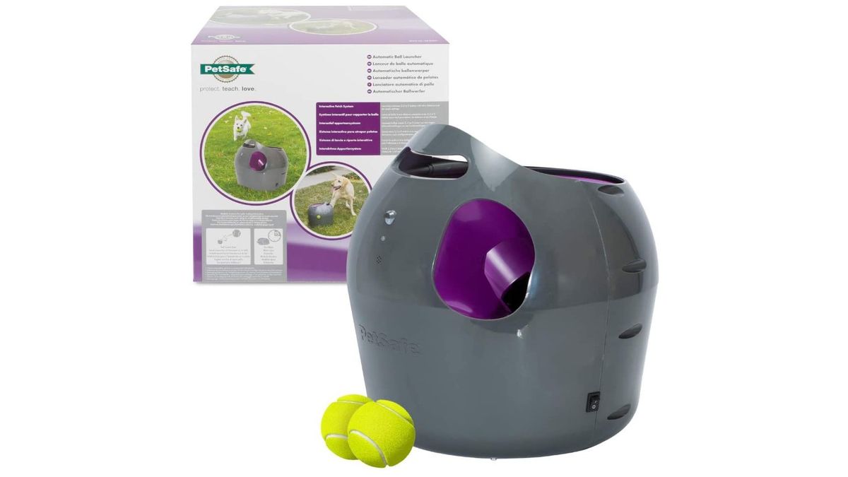 Best ball throwing machines for dogs 2024 for effortless entertainment ...