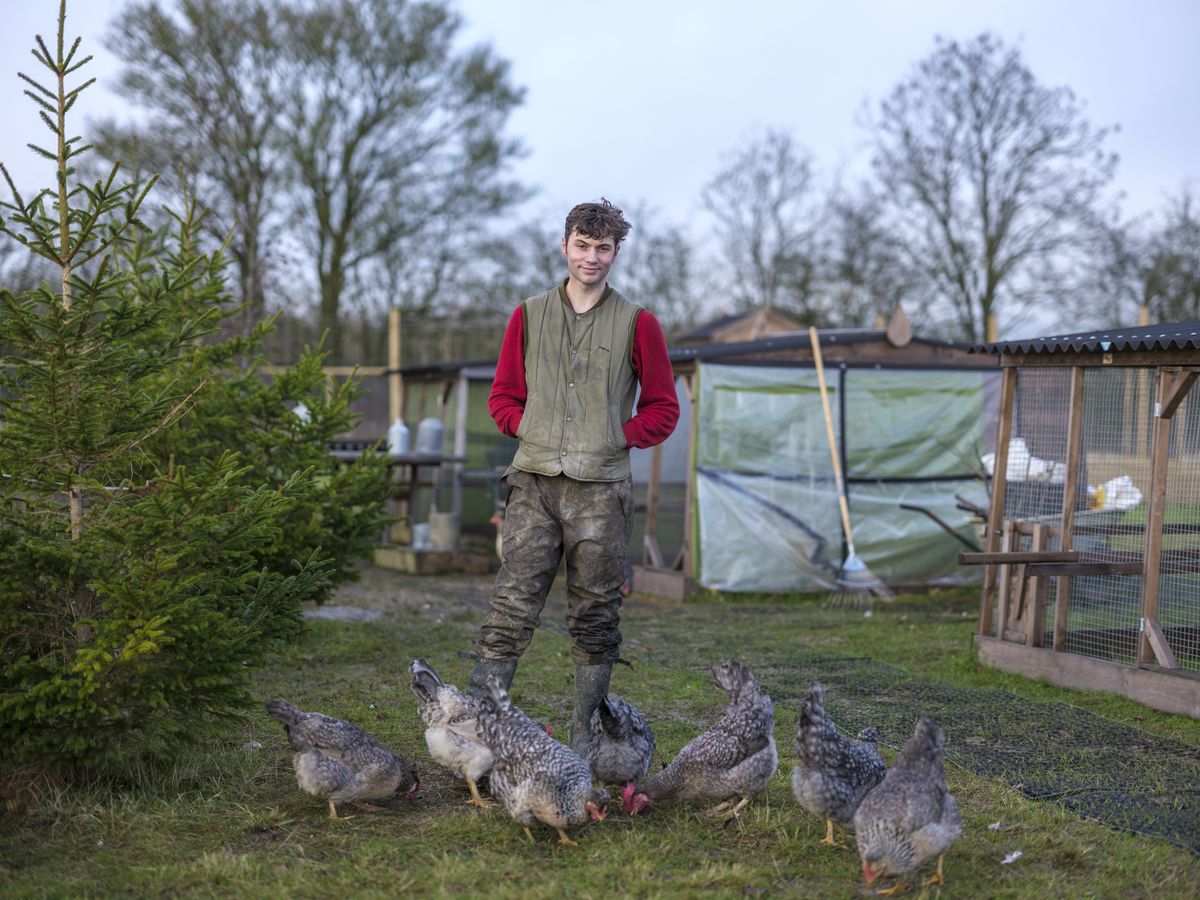 Arthur Parkinson: I am a cleaner, security guard and matron to my happy ...