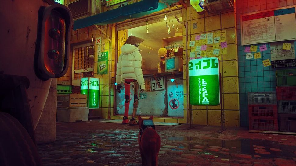 How Stray developer BlueTwelve landed on its feet with a phenomenon ...