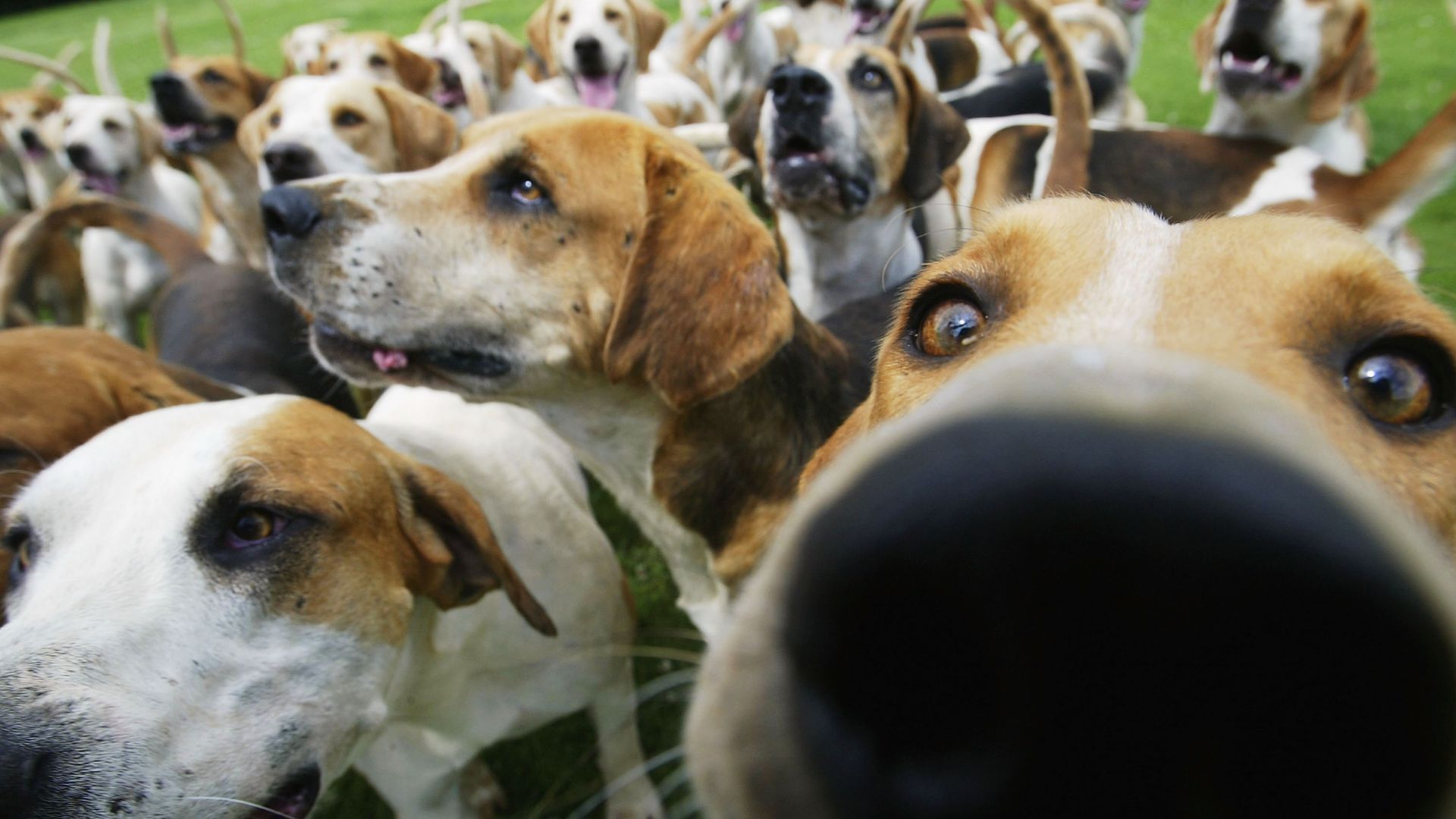 Wordle 668 goes viral as players fail for the same reason | Woman & Home