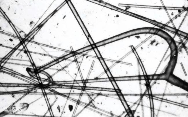 Dangerous, Golden 'Hair' Sprouts from Hawaii Volcano | Live Science