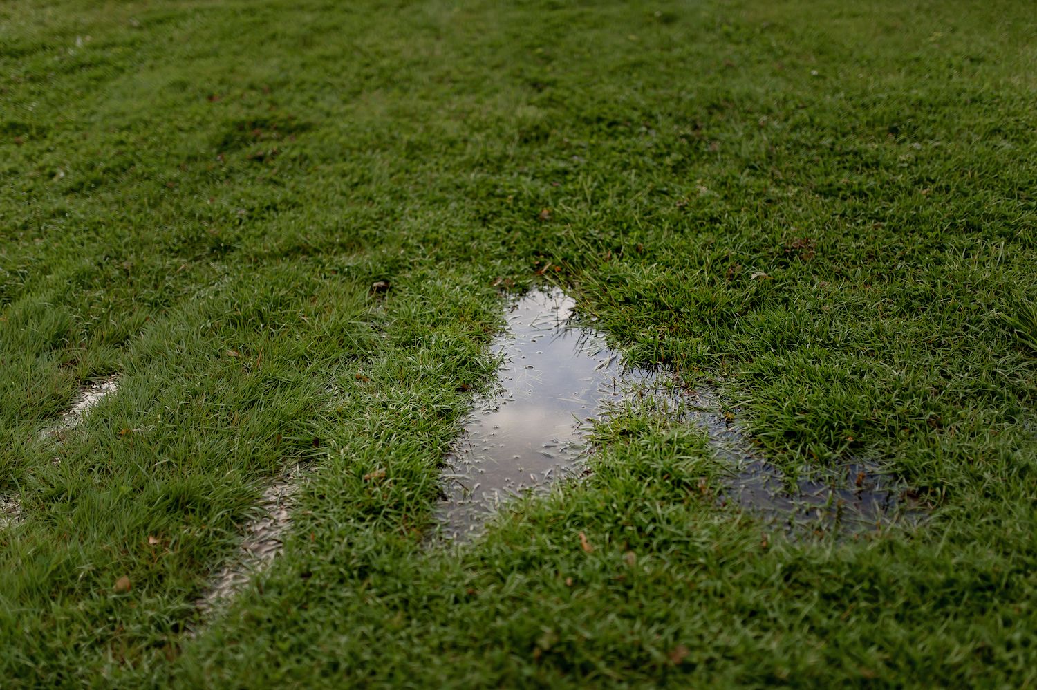 How to aerate your lawn - and when - for healthier grass | Livingetc