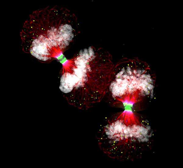 Amazing Photos: The Little Things in Life | Live Science
