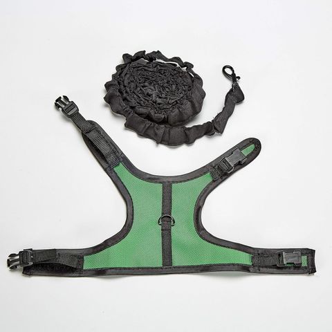 Best rabbit harness 2025: Let them explore in safety | PetsRadar