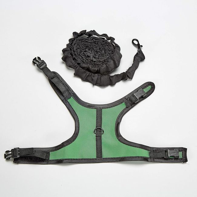 Best rabbit harness 2025: Let them explore in safety | PetsRadar