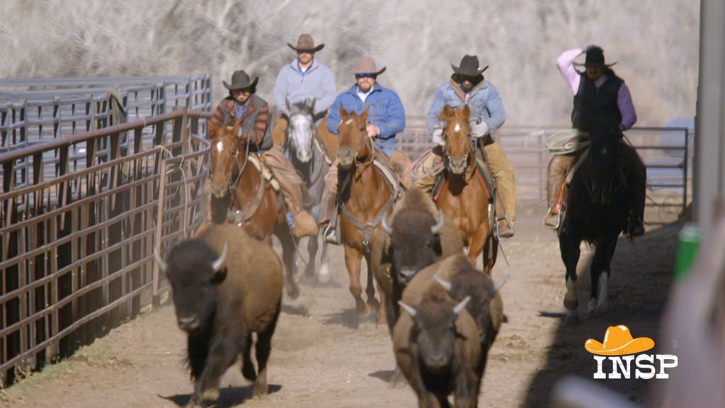 INSP’s ‘Ultimate Cowboy Showdown’ Rustles Up Fourth-Season Renewal ...