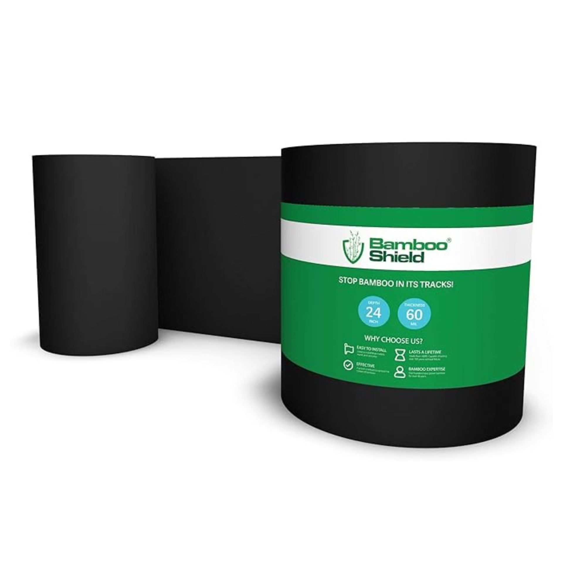 What to do if you have invasive bamboo - How to spot the signs, who to ...